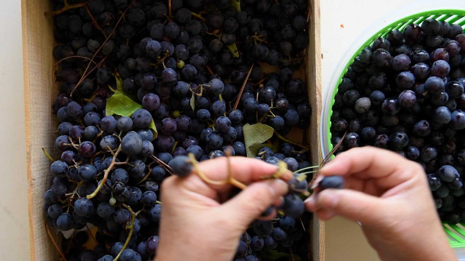 Italian Grape Jam (No Pectin) - Your Guardian Chef
