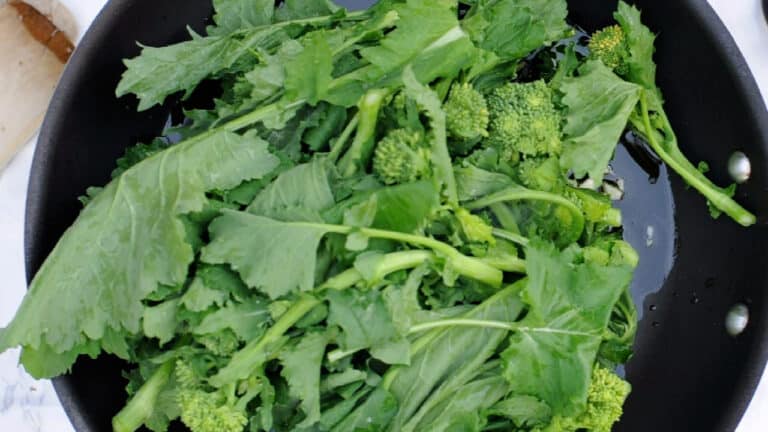 Neapolitan Friarielli Vs Italian Broccoli Rabe - Your Guardian Chef