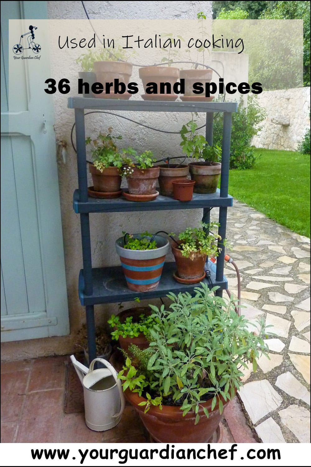 36 Essential Herbs And Spices Used In Italian Cooking - Your Guardian Chef
