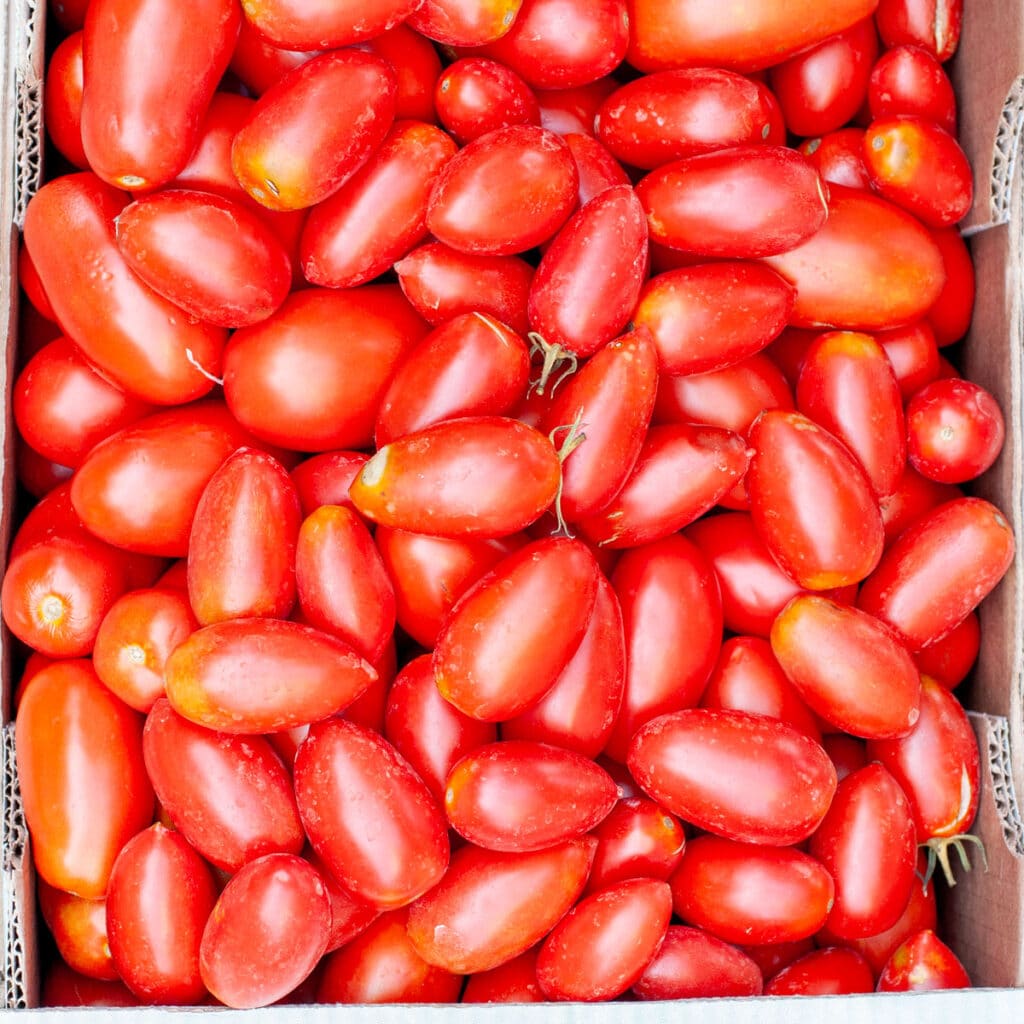 Sicilian Vegetable Caponata Recipe With Eggplants - Your Guardian Chef