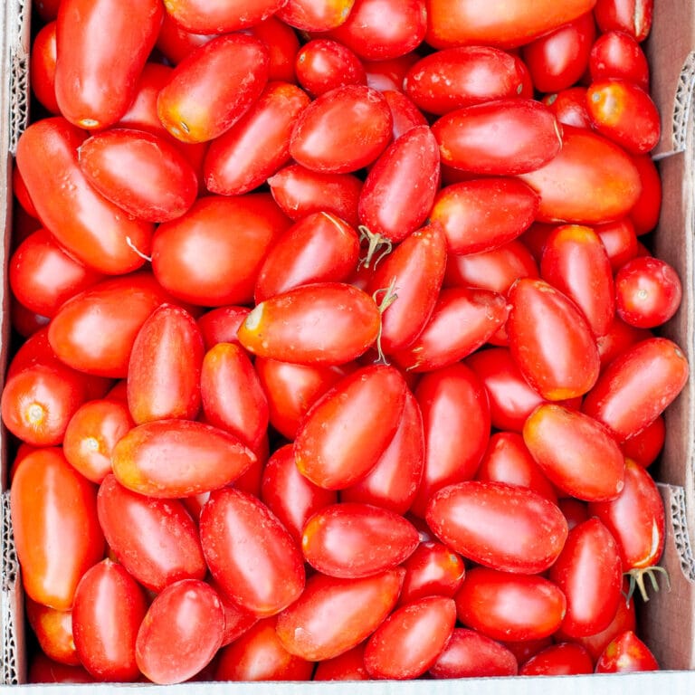Sicilian Vegetable Caponata Recipe With Eggplants - Your Guardian Chef