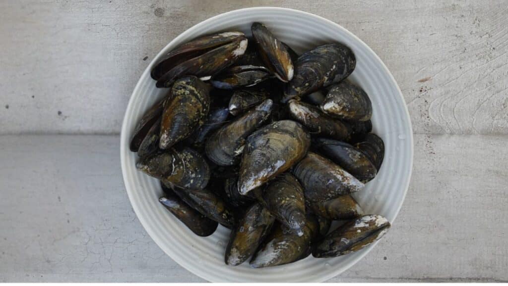 Cozze alla Marinara And Impepata di Cozze (Italian Peppered Mussels ...
